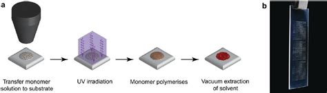 A Schematic Of The Formation Of A Materials Microarray By Depositing Download Scientific