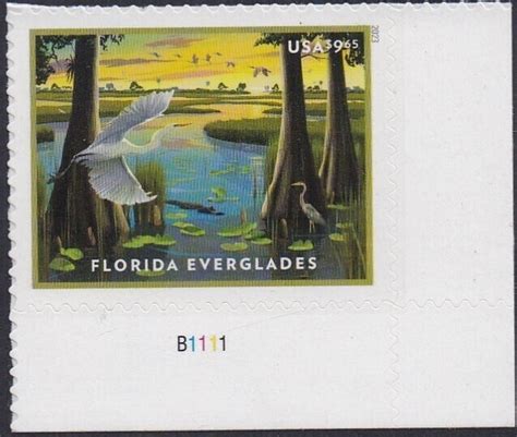 5751 Florida Everglades Mnh United States General Issue Stamp Hipstamp