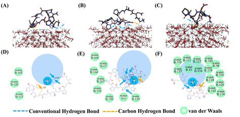 Molecular Docking Techniques Reveal Molecular Interactions Between