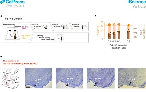 figure 1 from bi directional encoding of context based odors and