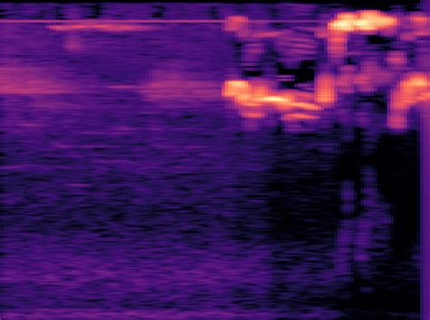 Bird Classification Object Detection Dataset By Bird Classification
