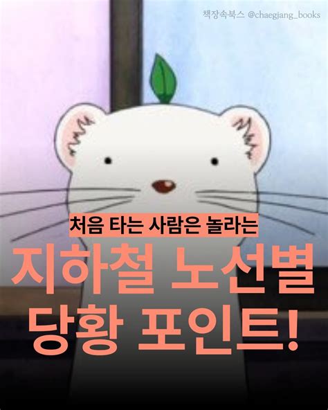 책장속북스📚 책장속books 누구나 공감하는 지하철 노선별 당황 포인트 🫨 💙1호선 인천행 병점행 천안행 소요산행 동두천행 등등 수많은 노선으로 인해 뭘 타야