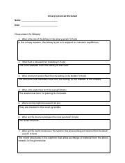 Understanding The Urinary System Functions Fluids And Course Hero