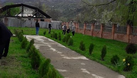 ქვედა ცაგერის საჯარო სკოლაში პროექტი „ჩვენი სკოლის მწვანე ეზო“ გრძელდება ეტალონი