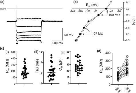 A Representative Voltage Traces In Response To Long 500 Ms Download Scientific Diagram