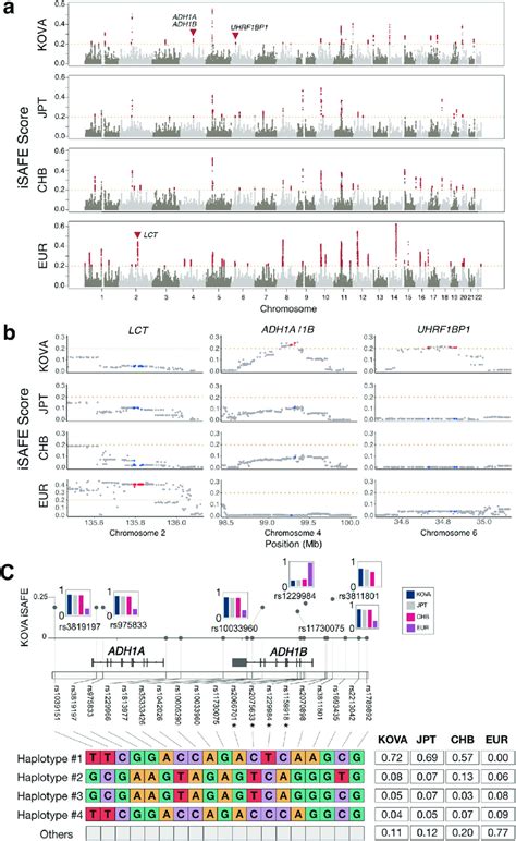 Signature Of Positive Selection As Indicated By The Isafe Score A