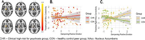 Group Differences In Nucleus Accumbens Thalamus Resting State Download Scientific Diagram