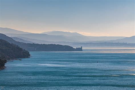 Gianni Zigante Insearch Pk