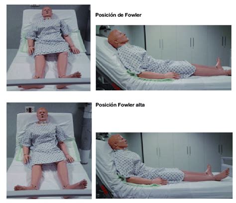 Posiciones Semi Fowler Fowler Y Fowler Alta Fuente Elaboración