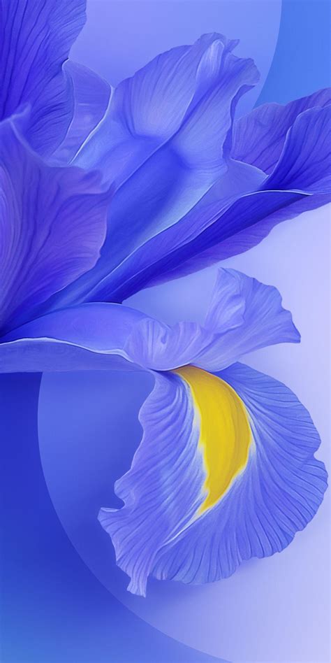 Xiaomi MI 9 Wallpapers Top Free Xiaomi MI 9 Backgrounds WallpaperAccess
