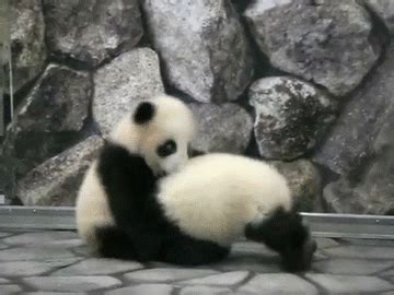 Love Fail The 9 Awkward Stages Of Drunk Sex YourTango