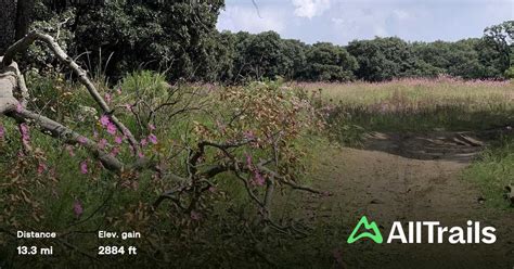 Chiluca El Lince Hill Sayavedra Loop State Of Mexico Mexico Map Guide Alltrails