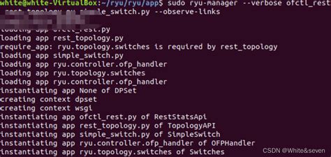 ryu控制器rest api的使用 ryu rest api csdn博客