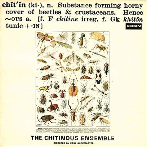 The Chitinous Ensemble Spotify