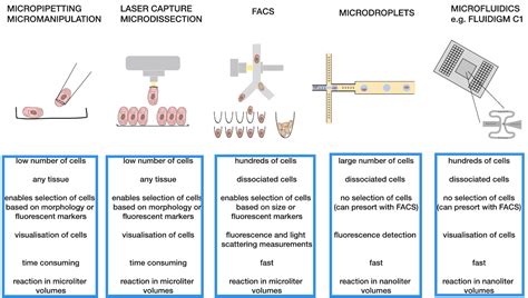 单细胞转录组测序技术 single cell rna seq 及细胞分离技术分类汇总 aipufu的博客 csdn博客 单细胞转录组测序