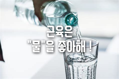 충청북도체육회 안녕하세요 충청북도체육회 입니다 평소에 수분 을 많이 섭취하면 피부에도 좋고 건강해진다고