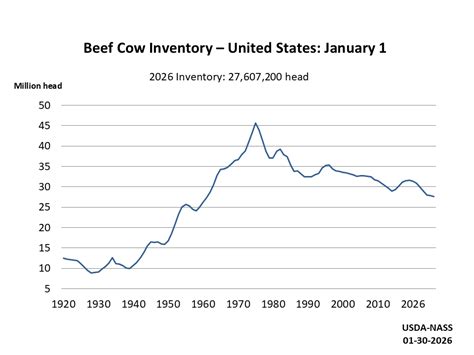 Usda National Agricultural Statistics Service Surveys Cattle