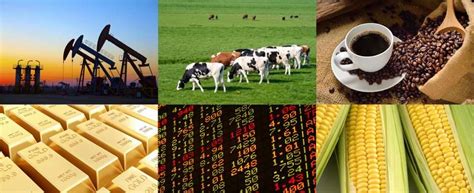 Discover The Power Of Commodity Futures Trading