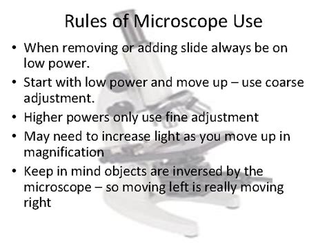 Microscope Light Microscope Microscope Is An Instrument Used