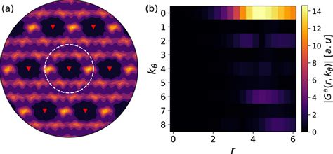 The Pair Correlation Density A And Its Angular Fourier Transform B