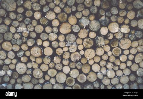 Stack Of Tree Trunks Texture Background Stock Photo Alamy