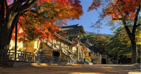 Apec은 경주에서…세계 정상 문화관광·산업시찰 최적지