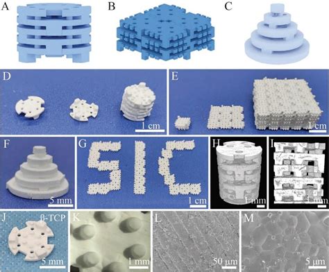 上海硅酸盐所通过生物陶瓷3d打印制备出可组装 拆卸的模块化支架用于多细胞组织工程 中国科学院上海硅酸盐研究所
