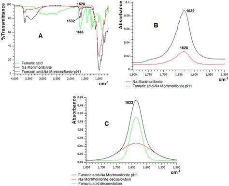A Ftir Atr Analysis Of Fumaric Acid Adsorbed On Na Montmorillonite At
