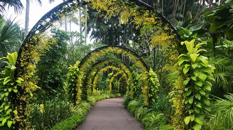 Singapore Botanic Gardens All The Fun Attractions To Branch Out On