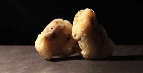 Willy Benecke Your Supplier For High Grade Elemi Gum