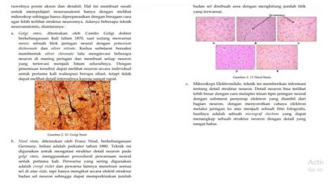 Psikologi Faal Bab 2 Sistem Syaraf Sel Glia Dan Teknik Arah