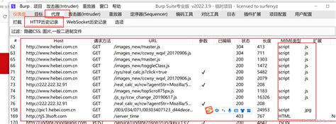 【网络安全 Burp Suite抓包工具】学网安必不可少的burp Suite工具的安装及配置burpsuiteburp抓包软件
