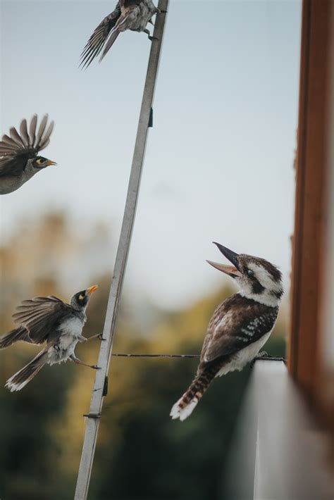8 Wildlife Photography Tips To Help You Capture Stunning Photos Of