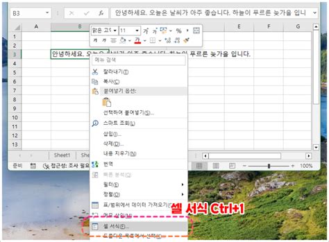 엑셀 텍스트 줄바꿈 및 줄 바꾸기방법 단축키 팁 네이버 블로그
