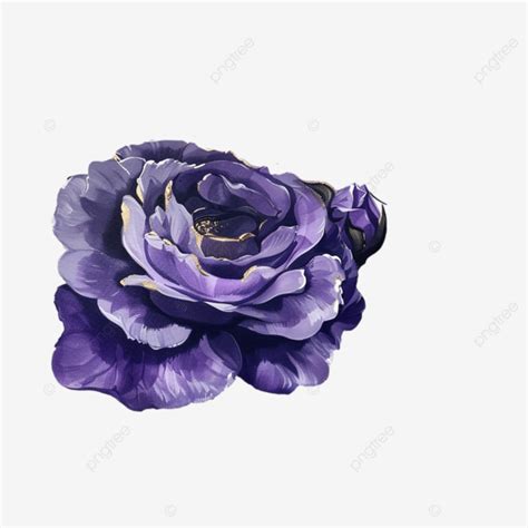 보라색 장미와 금잎 그림 페인트 등 보라색 장미 금잎 Png 일러스트 및 이미지 에 대한 무료 다운로드 Pngtree
