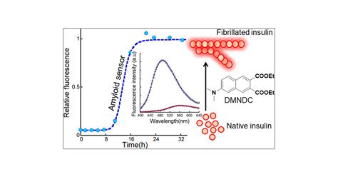 Biocompatible Fluorescent Probe For Selective Detection Of Amyloid Fibrils Analytical Chemistry