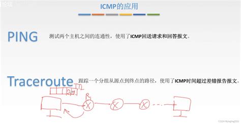 考研408 【计算机网络】 网络层 408考igmp协议吗 csdn博客
