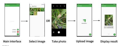 Figure 11 From Convolutional Neural Network In Rice Disease Recognition Accuracy Speed And