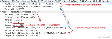 实训3 网络协议分析 网络协议分析与运维实战 csdn博客