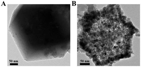 Electrochemical Sensor For Selectively Detecting Nitrite Ions As Well