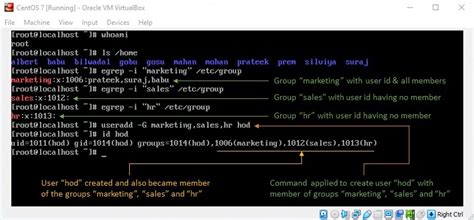 Level Up Your Linux Expertise Creating Users Via The Adduser Command