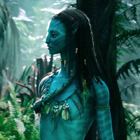Neytiri Avatar Avatar Picture Avatar Cameron