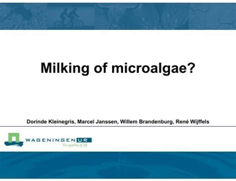 Milking Of Microalgae In Situ Extraction Spg