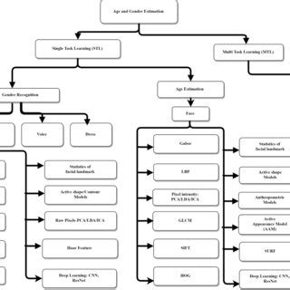 Age And Gender Classification Approaches Download Scientific Diagram