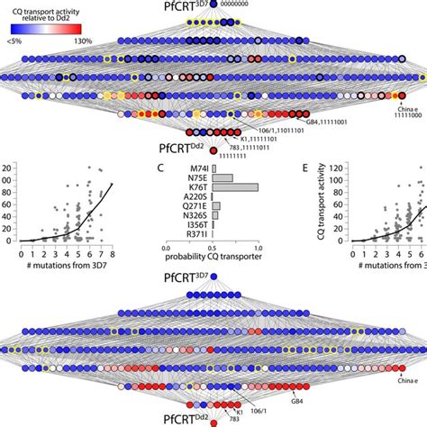 models can be trained on measured phenotypes to predict uncharacterized