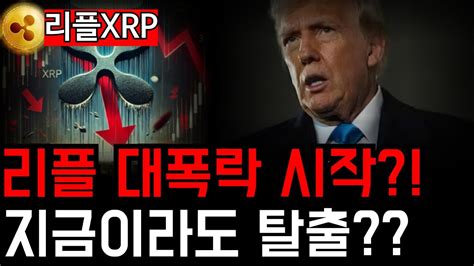 리플 대폭락 시작 투자자들 패닉셀 지금이라도 탈출해야 하나 Youtube
