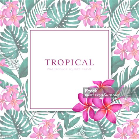 열대 식물 문구 디자인입니다 배경에 이국적인 괴물 바나나 야자수 잎과 플루메리아 꽃 프레임 꽃 식물에 대한 스톡 벡터 아트 및 기타 이미지 Istock