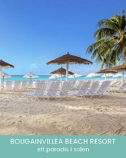 Resa Med Barn Till Barbados Resor Till Barbados