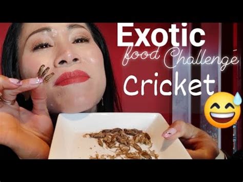 Asmr Cricket Exotic Food Challenge Crunchy Satisfying Sound Asmr