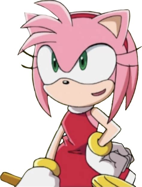 Amy Rose Vector 20 By Mrtoonlover83 On Deviantart